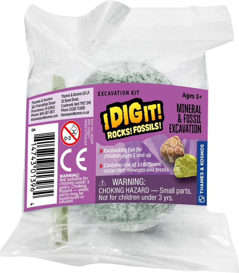 I Dig It! Rocks & Fossils - Mini Excavation – Cheeky Monkey Toys